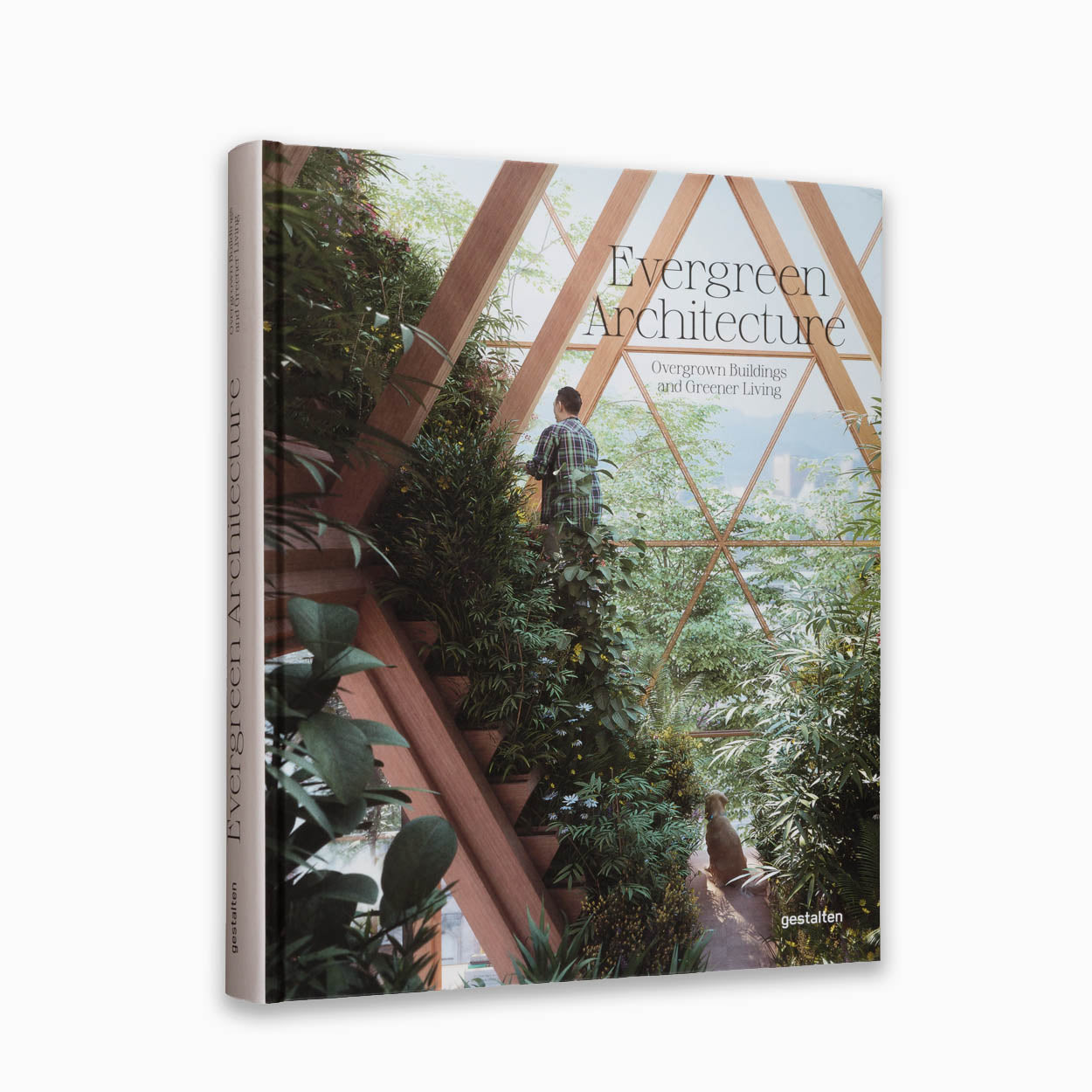 Evergreen Architecture – Arrival Hall